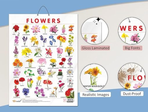 Gowoo Laminated Charts ( Glossy Lamination ) Flowers - Malik ...
